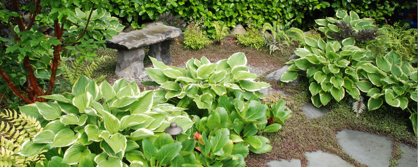 Matt Kilburn - Garden Designer